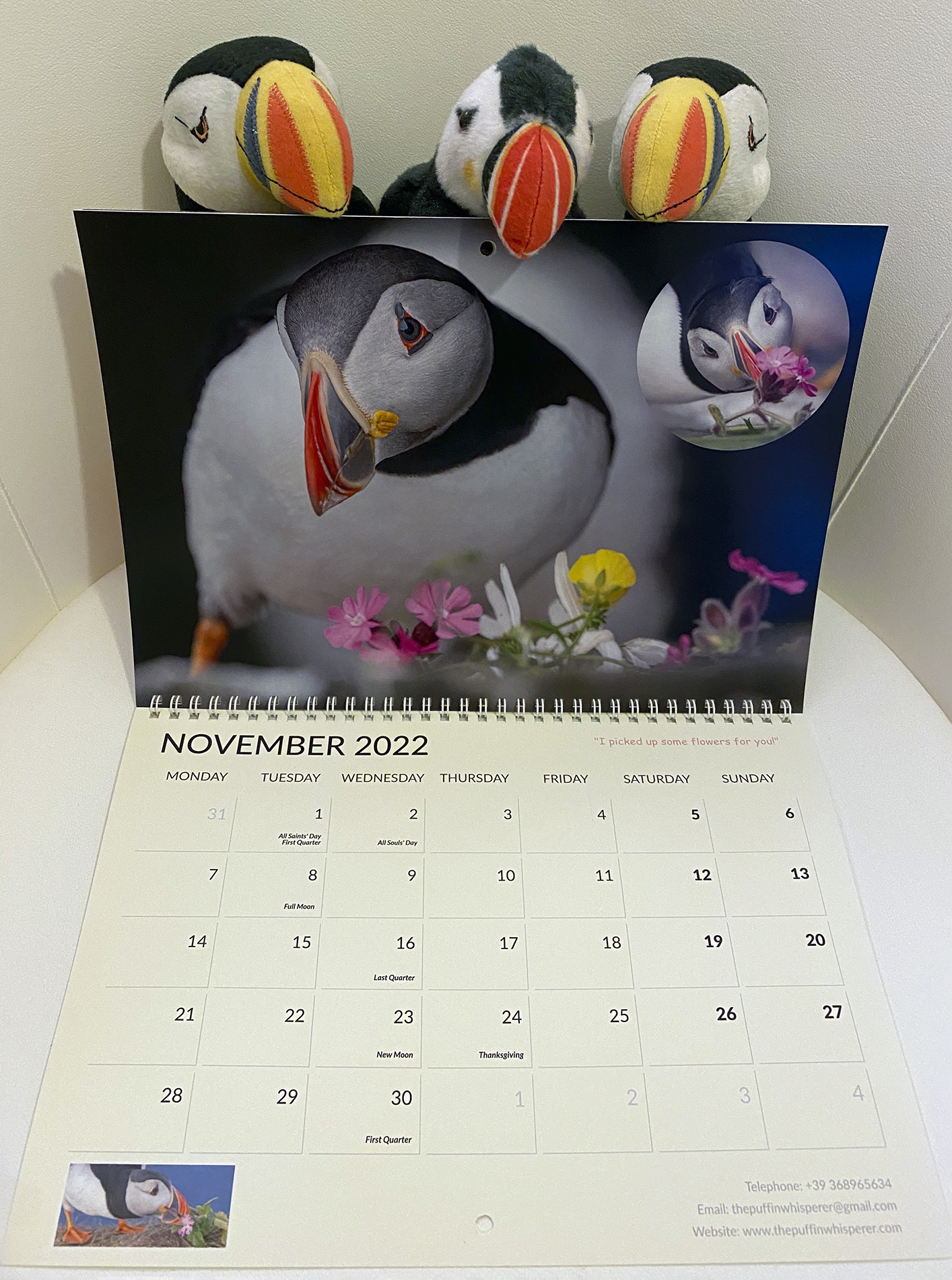 2022 Puffin Calendar – by Antonella Papa – The Puffin Whisperer